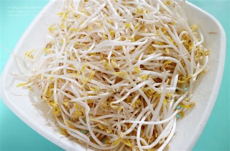 베이컨숙주볶음