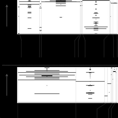 general object recognition process download scientific diagram
