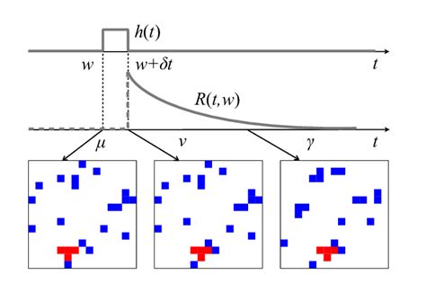 Procedure For Measuring The Impulse Response The System Is Initialised