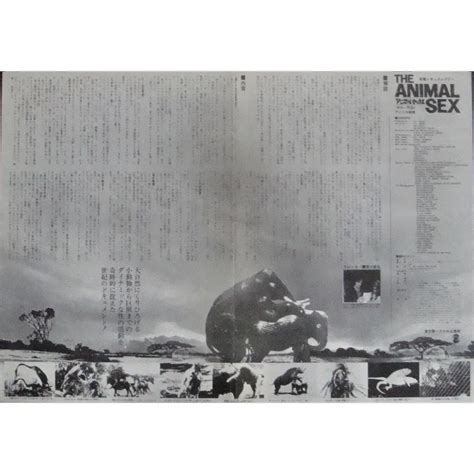 Sex And The Animals Japanese Press Movie Poster Illustraction Gallery