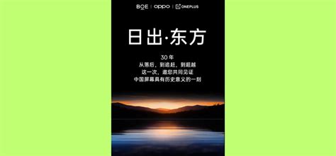 Oneplus 12 Display Is Being Described As Industry Benchmark Check