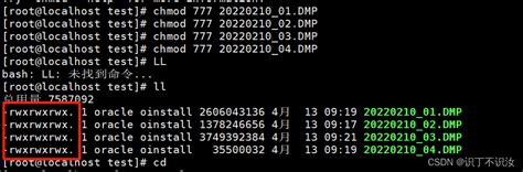 Linux Centos7使用impdp导入oracle数据的报错bad Dump File Specification Csdn博客