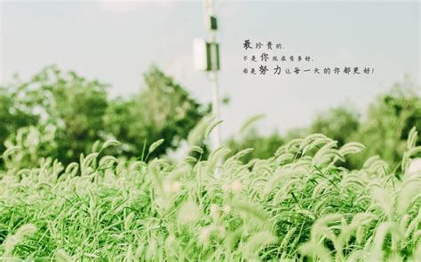 早安走进八月告别七月唯美正能量心语图片 来配图