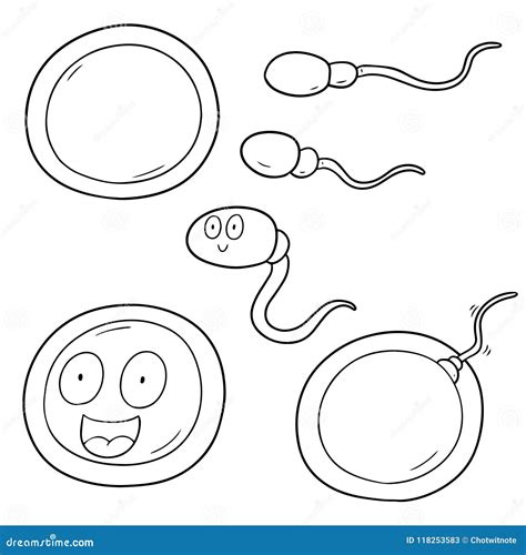 Vector Set Of Sperm And Egg Stock Vector Illustration Of Face Genetic 118253583