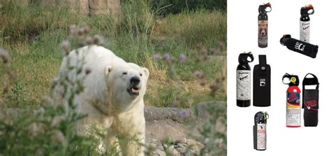 Best Bear Spray Reviews 2025