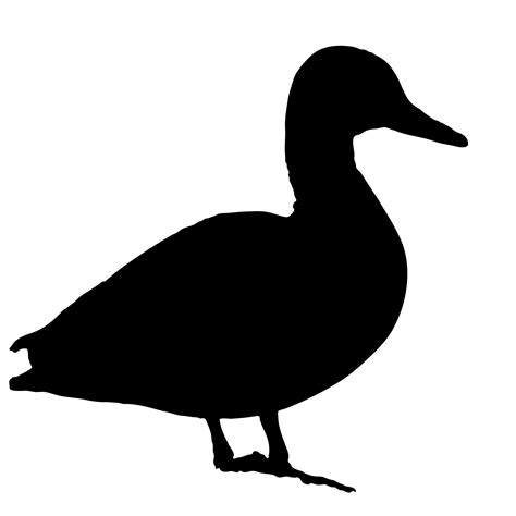 Free Duck Silhouette Cliparts Download Free Duck Silhouette Cliparts