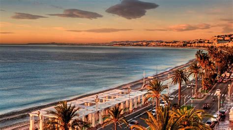 Exponential Functions Flashcard