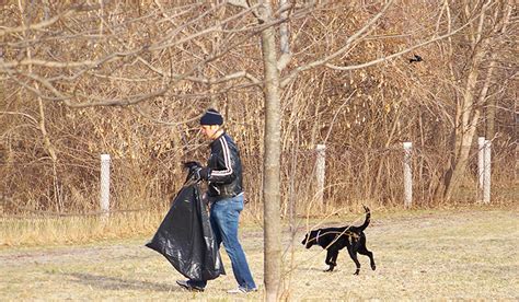 Are Dogs Allowed In Madison Parks