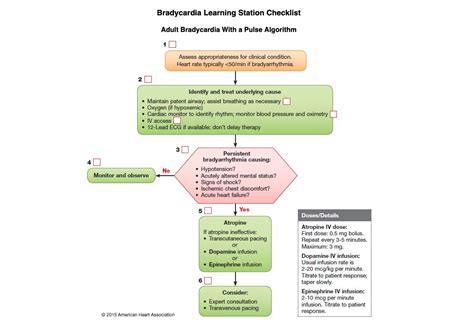 Brady Algorithm Central Valley Medical Education