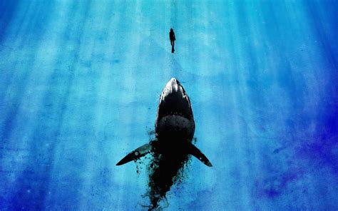 Shark And Girl Macbook Air Wallpaper Download Allmacwallpaper
