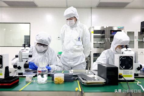 安徽蚌埠：芯聚江淮 智感世界 产业 发展 智能