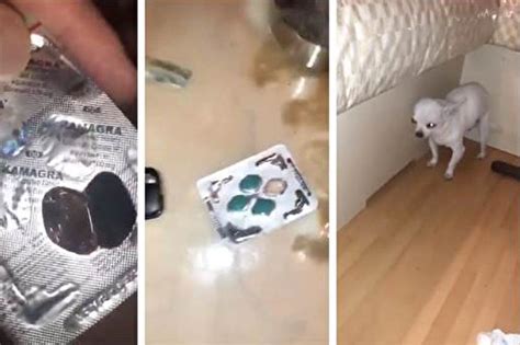 【動画】ウクライナの18歳・生中出しok売春婦。セ クス動画がエロすぎてアカン ポッカキット
