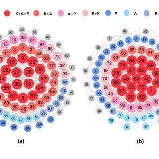 Topology Of The Female Sex Worker FSW Social Network Download Scientific Diagram