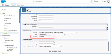 How To Enable Multi Language For Custom Field Labelsaleforcevlocity