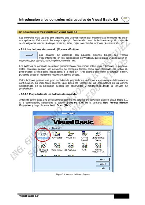 Libro De Oro De Visual Basic 60 Orientado A Bases De Datos 2da Id