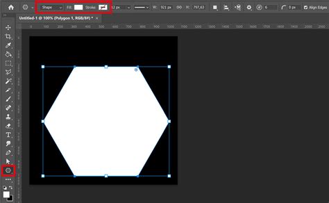 Photo In Shape With Outline In Photoshop Edit With Kim