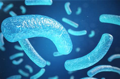 만성 간 질환 바이러스 성 간염 감염 간염 바이러스에 감염 된 유기 체 3 차원 일러스트 레이 션 A형 인플루엔자 바이러스에