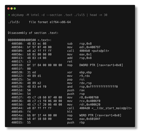 Ctf Challenge Walkthrough From Practical Binary Analysis K4n3ki
