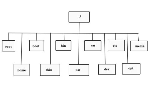 🌻basic Linux Commands For Devops Engineers On Aws Ec2 Instance 🌻 By