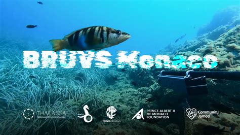 Bruvs Monaco Community Jameel