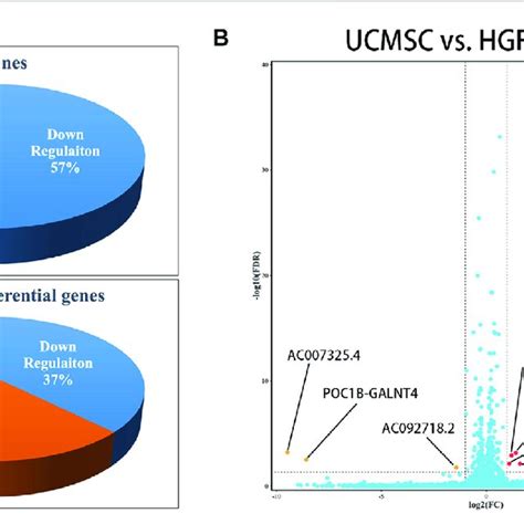 Analysis Of Transcriptional Expression Of Ucmscs And Hgf Ucmscs A