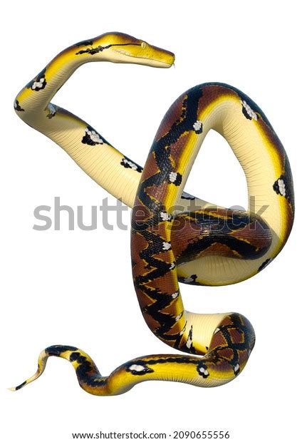 3d Rendering Reticulated Python Python Reticulatus Stock Illustration