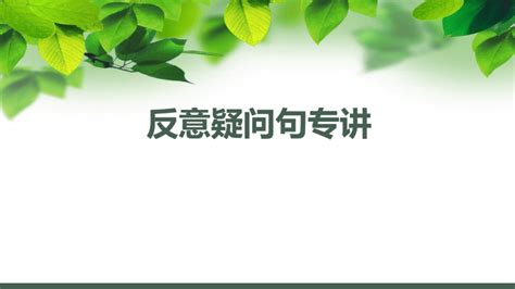 高考英语总复习之反义疑问句（共28页ppt） 21世纪教育网