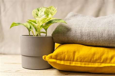 2021년 의 새로운 색상인 옐로우와 얼티밋 그레이를 조명합니다 0명에 대한 스톡 사진 및 기타 이미지 0명 2021년 개념 Istock