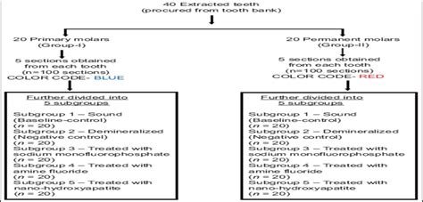 Surface Remineralization Potential Of Nano Hydroxyapatite S Journal Of Indian Society Of
