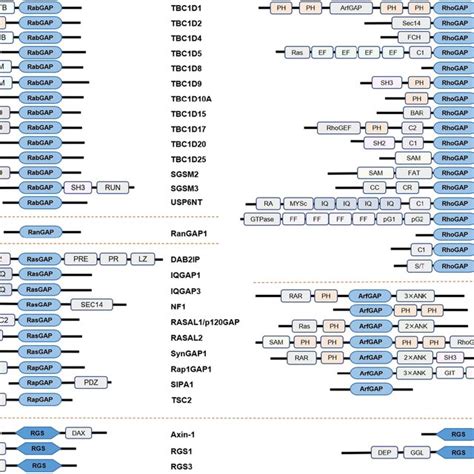 Gaps Are Multidomain Proteins Gaps Have Typical Gap Active Structural