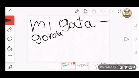 Pusheen Eevee 😸 Youtube