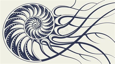 Nature And Geometry Illustration Abstract Nautilus Shell Spiral With Nature And Geometry Illustration Abstract Nautilus Shell Spiral With