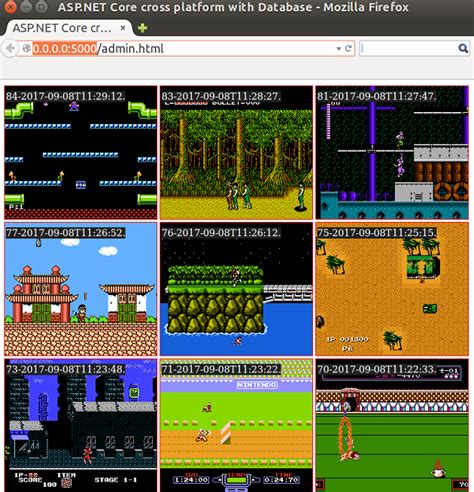 Aspnet Core Cross Platform Development With Database Codeproject
