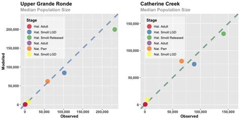 Visual Validation Of Model Accuracy Between Observed And Model