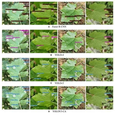 Examples Of Bounding Box Based Data Augmentation A Manual Label