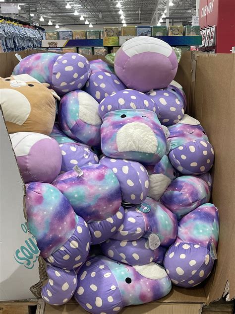 10000 Best R Squishmallow Images On Pholder I Finally Caved And Got My First Ever Squish I