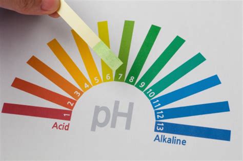 What Is The Difference Between PH And PKa Difference Cleared All The Differences