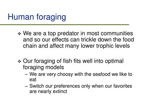 Ppt Foraging Behaviour Powerpoint Presentation Free Download Id