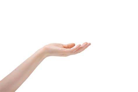 手美女手托举素材