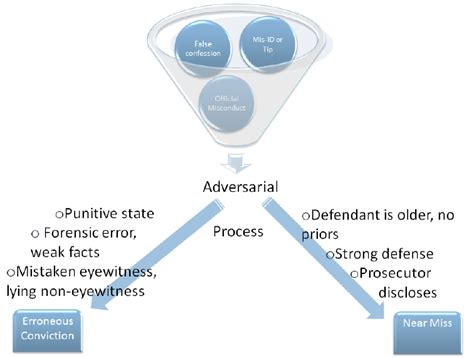 predicting and preventing wrongful convictions national institute of justice