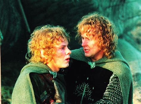 Pin By Megan Mcguire On Board Of The Rings Merry And Pippin The