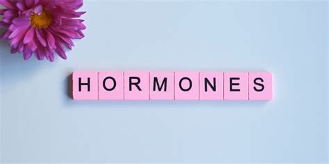 What Happens To Your Hormones During Menopause Taking A Closer Look