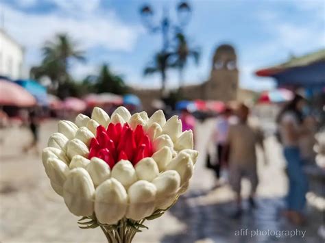 مشموم ورد تونس Mashmoum Immagini