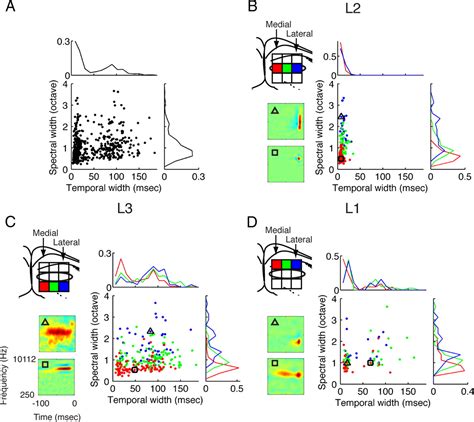 Organized Representation Of Spectrotemporal Features In Songbird Auditory Forebrain Journal Of