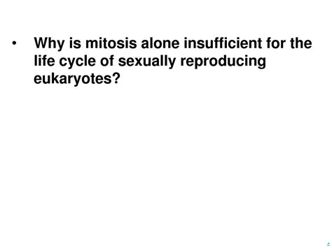 SOLUTION Meiosis Sexual Life Cycle Studypool