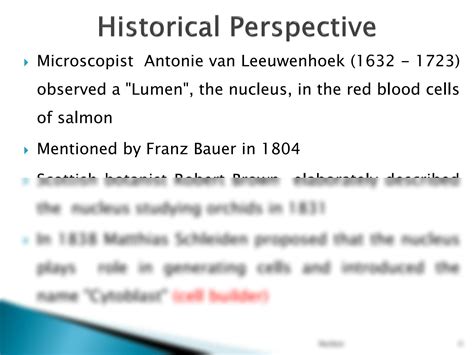 Solution Nucleus Structure Function Studypool
