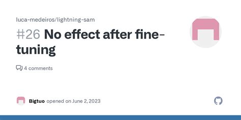 No Effect After Fine Tuning Issue 26 Luca Medeiros Lightning Sam