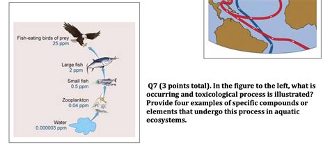 [solved] Q7 3 Points Total In The Figure To The Left