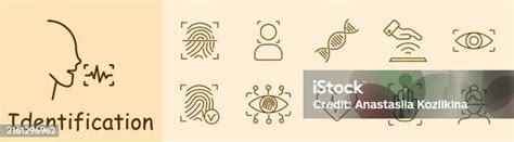 식별 세트 아이콘입니다 음성 분석 인식 지문 스캐닝 검증 Dna 신호 눈 안구 망막 분석 심장 박동 손 얼굴 얼굴 Id 성공 인간의 실루엣 개념에 대한 스톡 벡터 아트 및