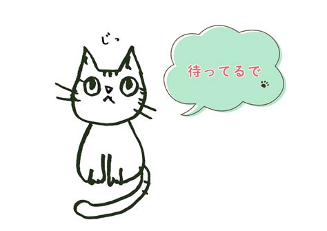 【参加ねこ紹介 ③】12月1日開催 保護ねこの家譲渡会in天王寺 保護ねこの家 ～ボランティアのblog～